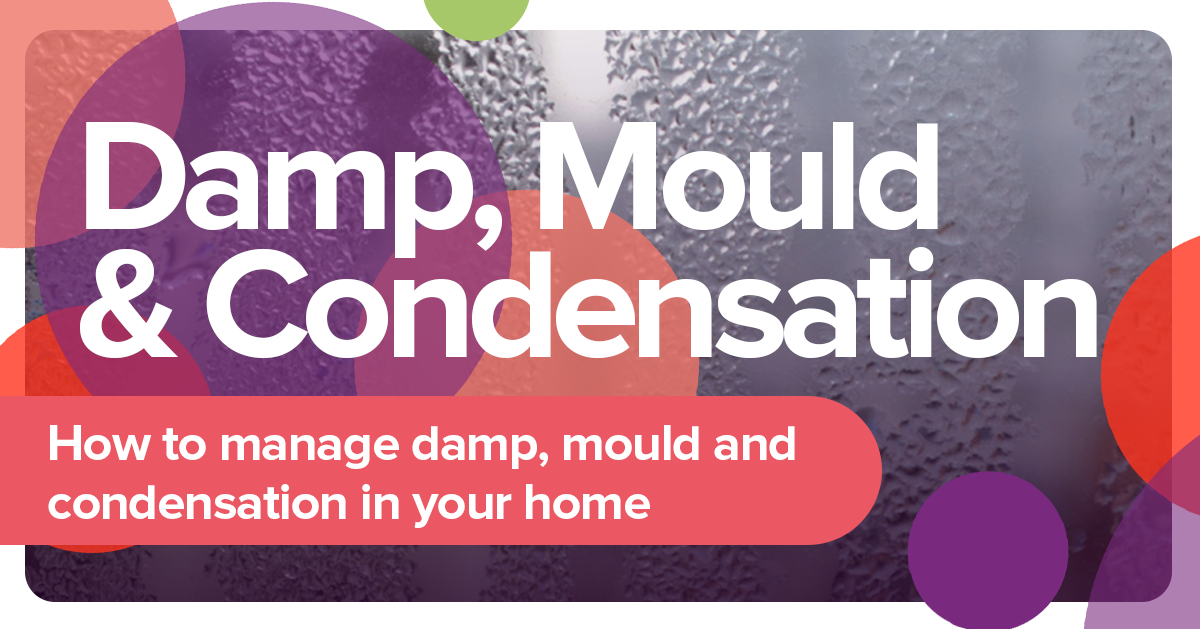Damp, Mould and Condensation | Halton Housing
